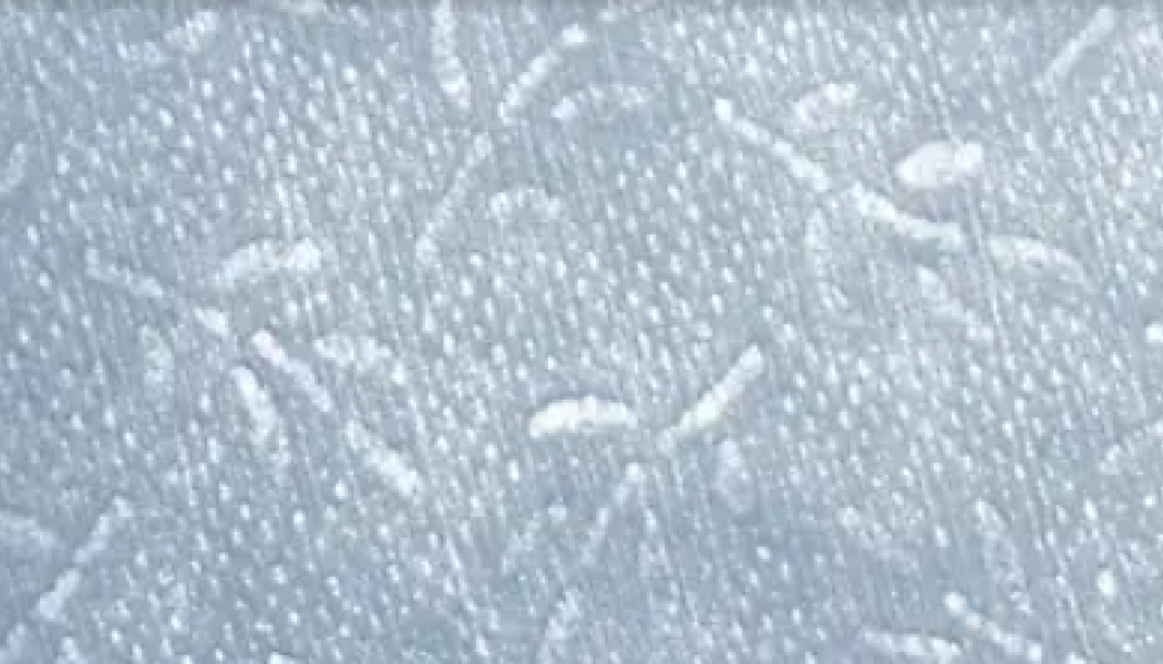 Andritz strengthens nonwovens business by acquiring Dan-Web ...