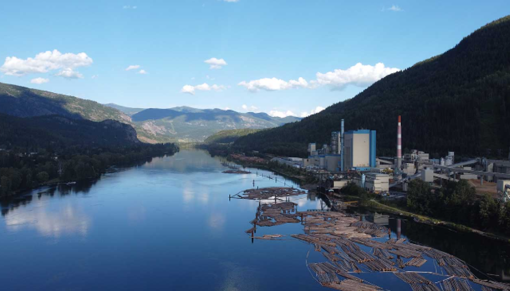 Mercer International announces temporary curtailment of its Celgar pulp ...