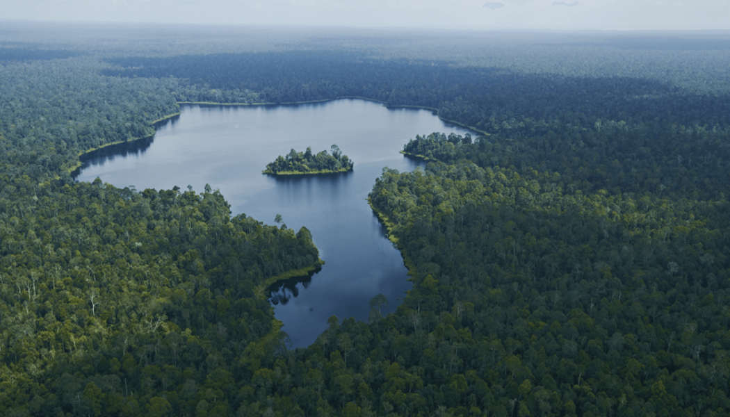 April Group invests in new paperboard packaging mill in Indonesia ...