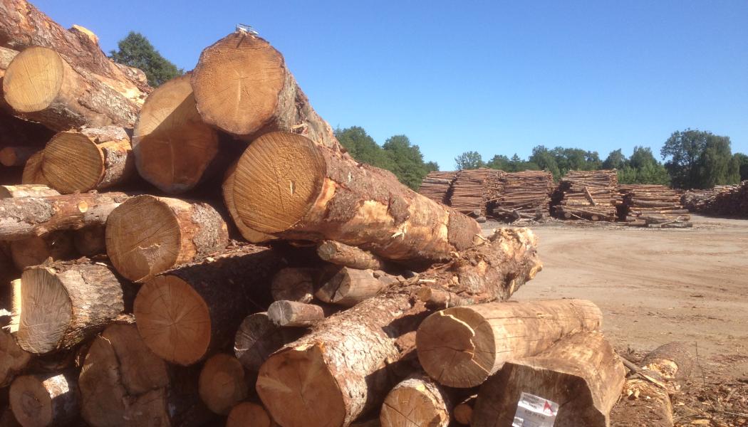 Interfor announces lumber production curtailments in Oregon and British ...