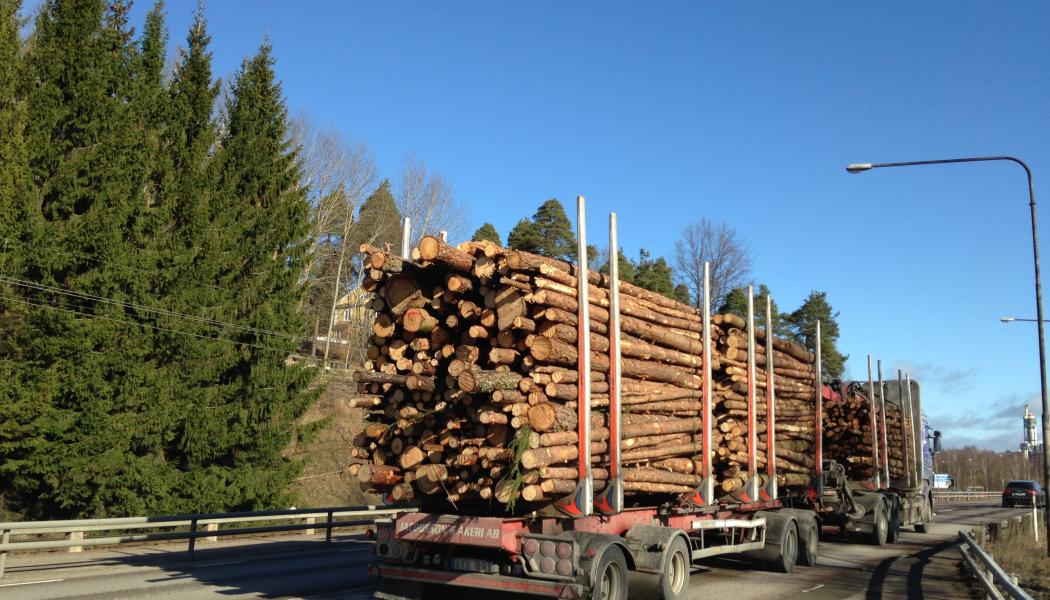 Stocks of pulpwood and pulp chips in Sweden continue to grow in 2025 ...