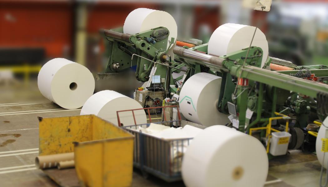US paper industry opposes tariffs on Brazilian eucalyptus pulp ...