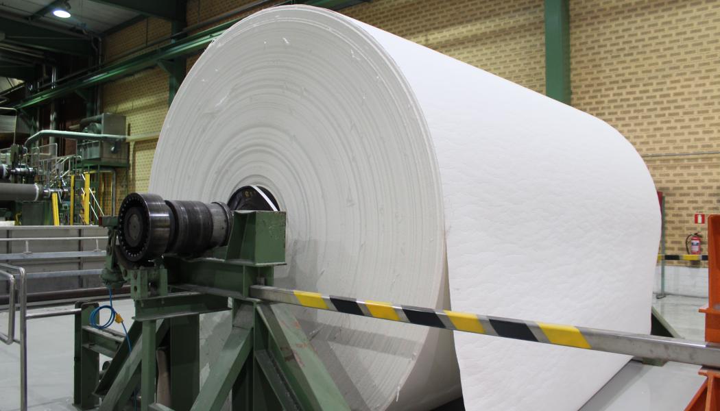 BillerudKorsnäs and Viken Skog to explore possibilities for joint ...