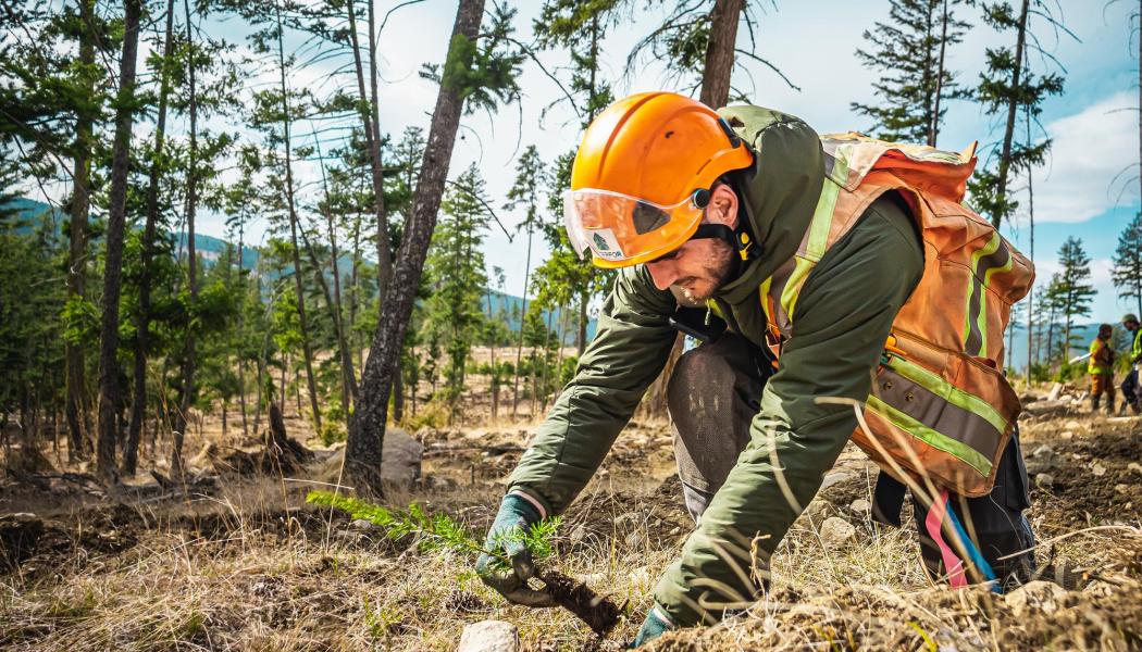 Interfor announces leadership change | PULPAPERnews.com