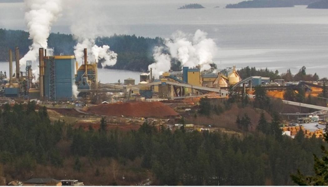 Paper Excellence announces Croften Paper mill curtailment ...