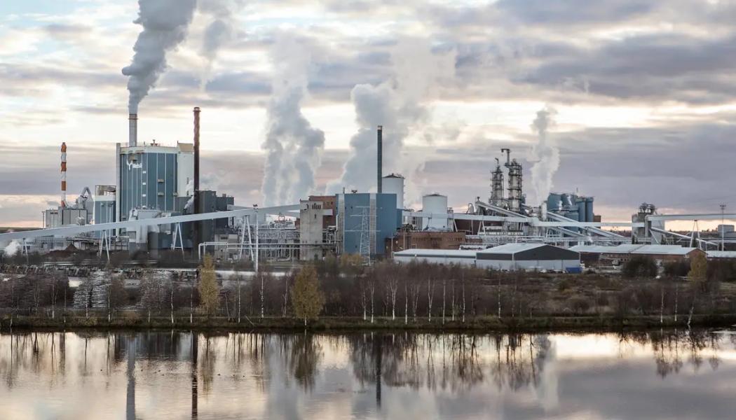 Overcapacity of pulp concerns in Finland