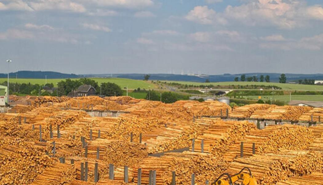 Mercer International’s climate targets validated by the Science Based ...