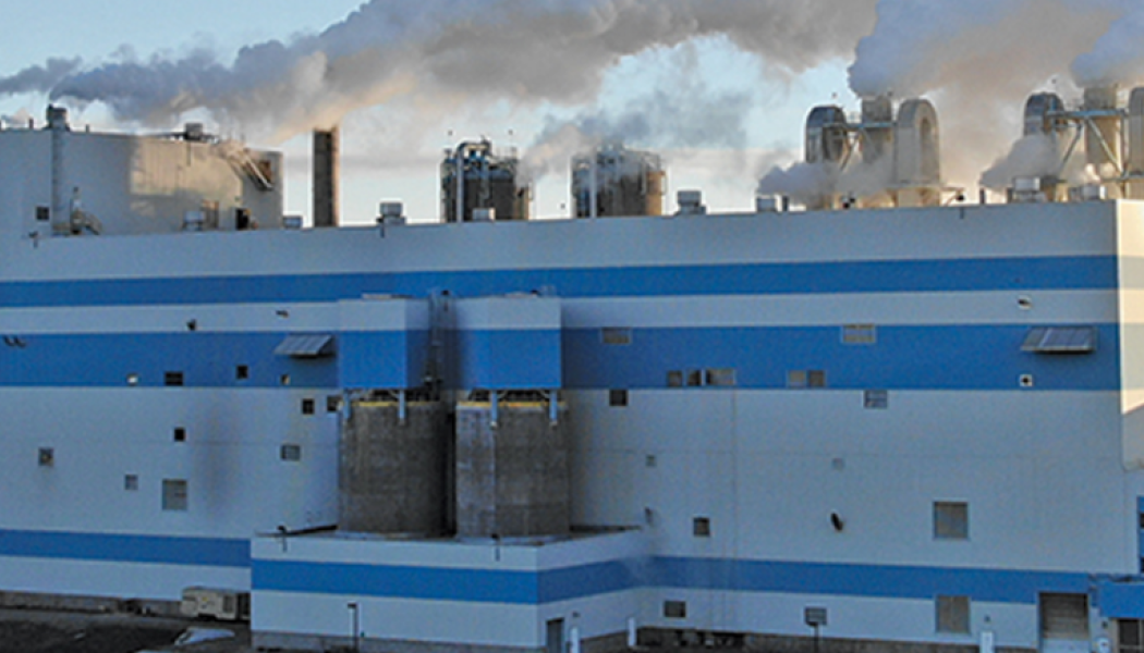 MLMP celebrates 30 years in operation | PULPAPERnews.com