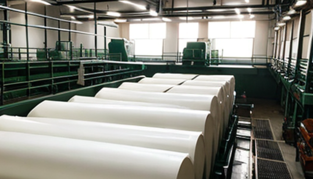 Domtar Kingsport mill named the 2024 Business Recycler of the Year ...