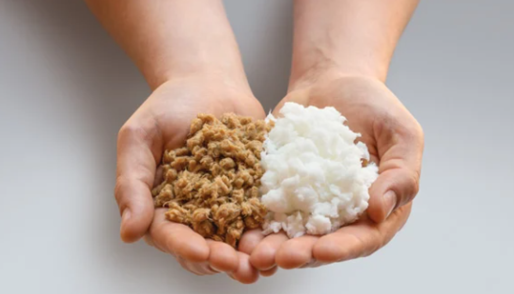 Solenis helps improve pulp washing efficiency at kraft pulp mill ...