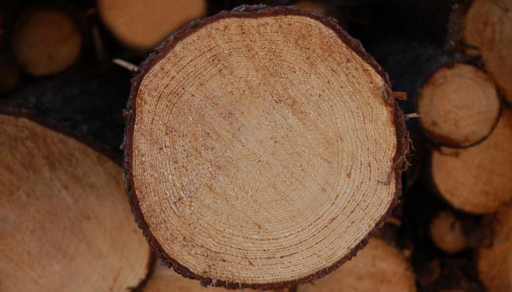 SCA becomes wholly owner of Gällö Timber AB | PULPAPERnews.com